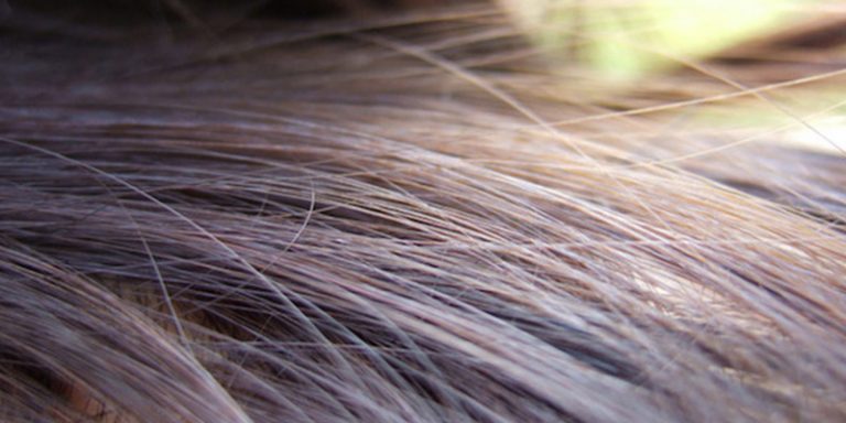 Anatomia dei capelli | Prontocapelli